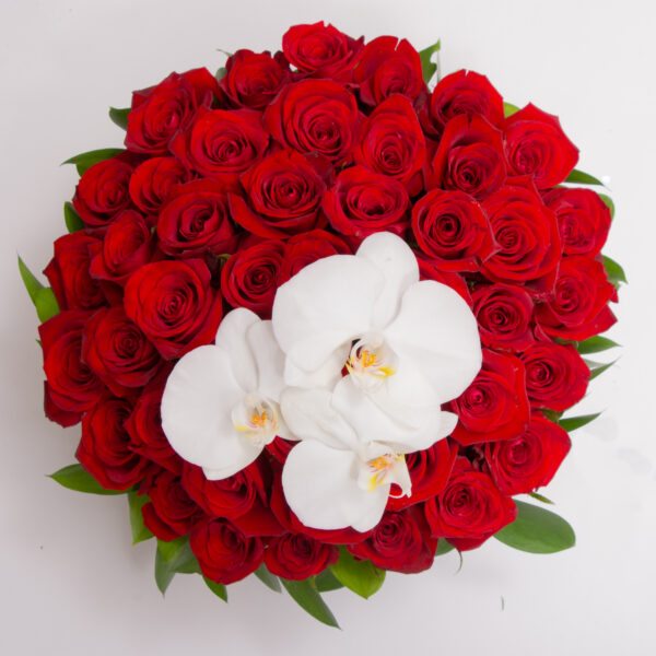 Rosa Grande – Floreria las Margaritas