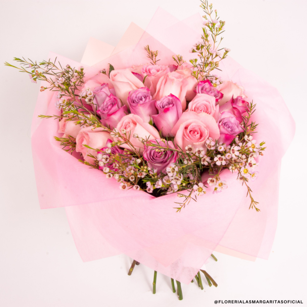 Ramo Caricia (24 rosas) – Floreria las Margaritas